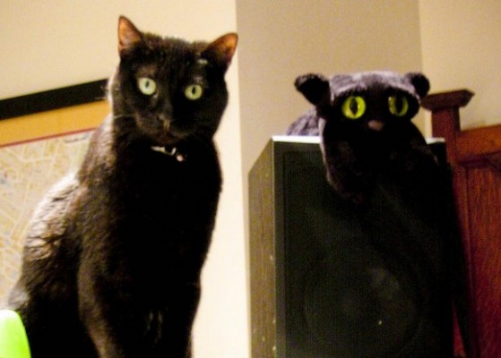 The Doppelgänger: facing the otherworldly mirror | Dream Studies Portal